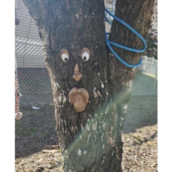 Accents | 12 Inch Tree Face Outdoor Statues Old Man Tree Hugger Bark ...